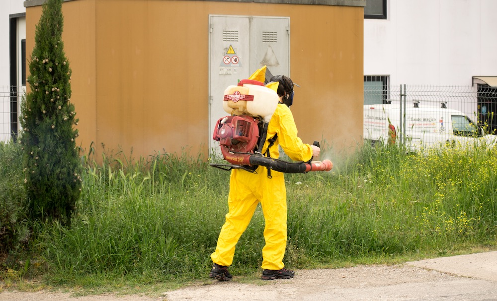 Disinfestazione professionale infestanti nelle aziende e abitazioni